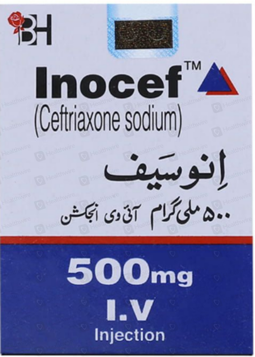 Inocef 500mg Injection I.v – Tablet Pharmacy
